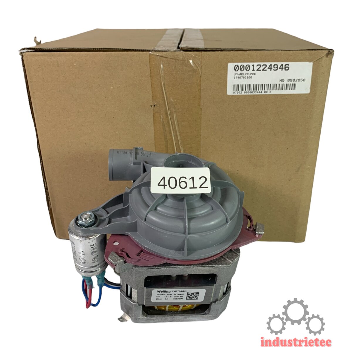 Welling YXW75-2G Umwälzpumpe 220-240V 50Hz, 130,00