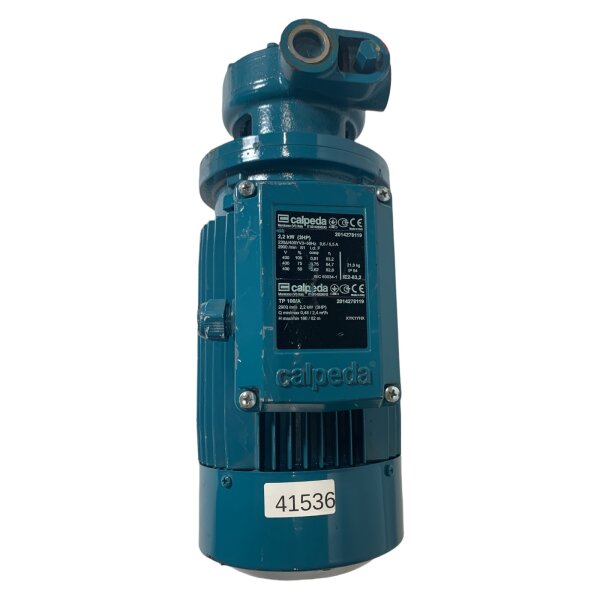 Calpeda TP100/A 2014278119 Peripheralpumpe Wasserpumpe, 600,00